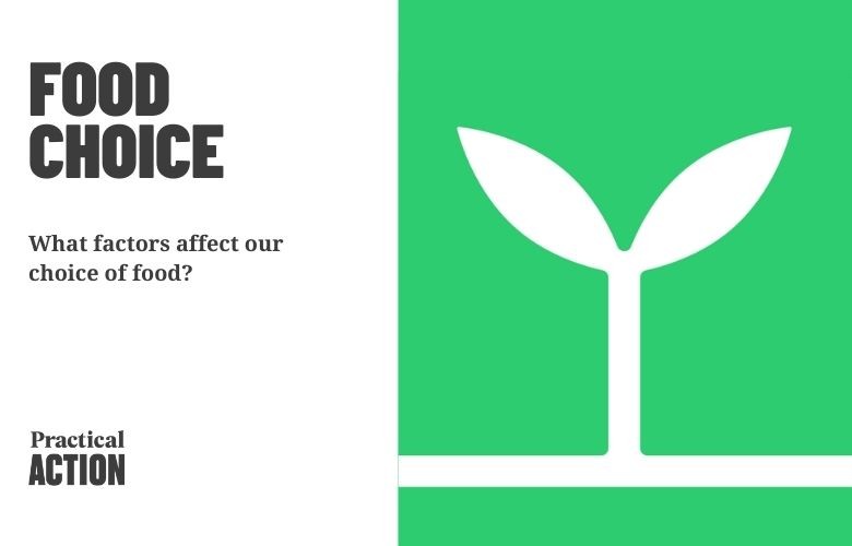Food Choice › Reboot Education