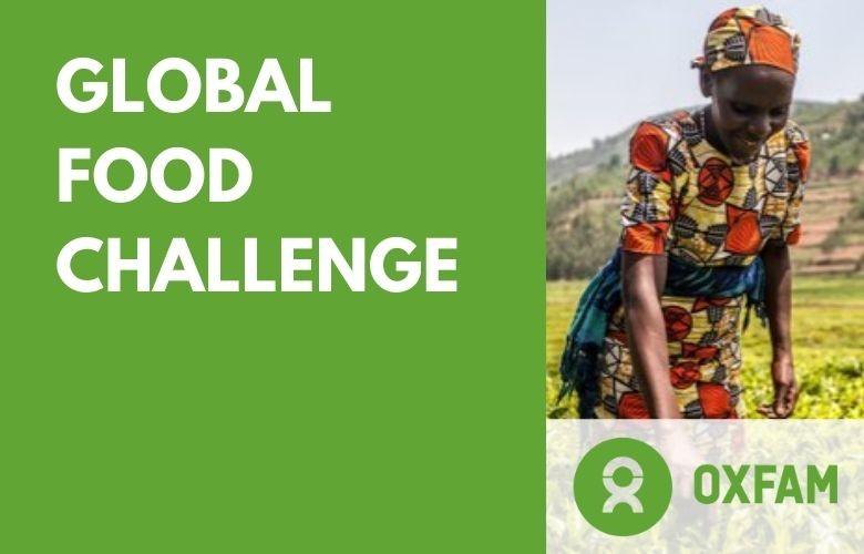 Global Food Challenge › Reboot Education