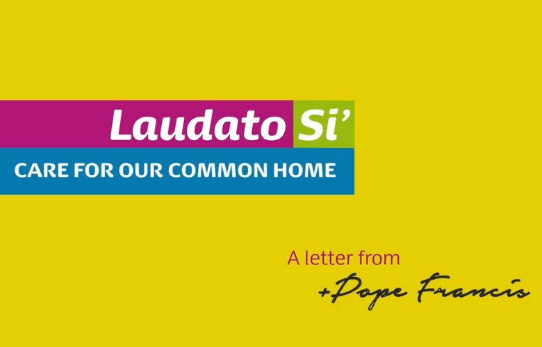 Laudato Si' Animation and Lesson › Reboot Education