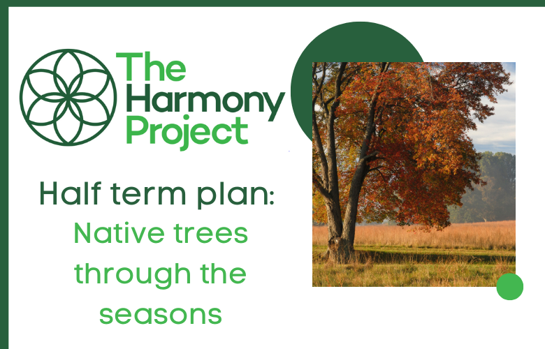Half-term Plan: Native trees through the seasons › Reboot Education
