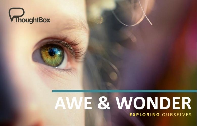 Awe and Wonder Curriculum › Reboot Education