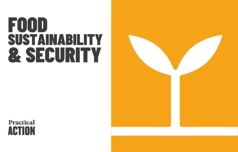 Food Sustainability and Security › Reboot Education