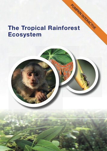 The Tropical Rainforest Ecosystem › Reboot Education