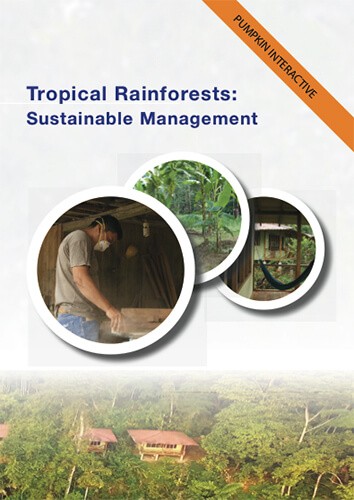 Tropical Rainforests: Sustainable Management › Reboot Education